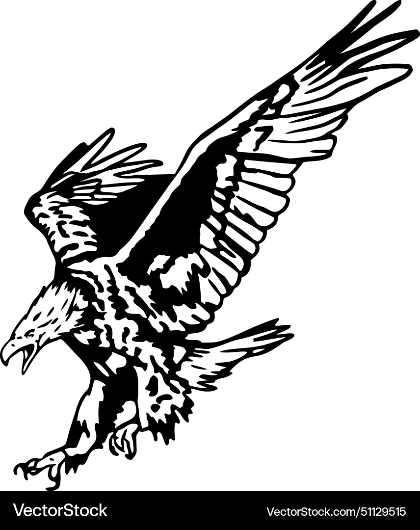 Flying american bald eagle Royalty Free Vector Image