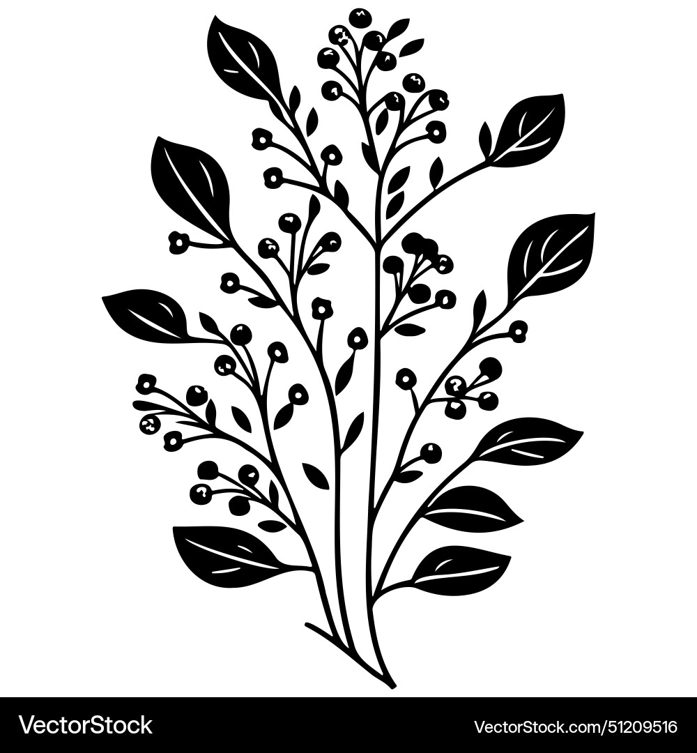 Berry flower sketch hand draw Royalty Free Vector Image
