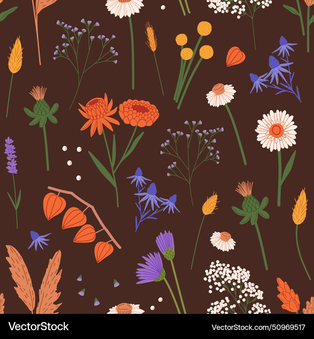 Different wild and garden flowers on endless Vector Image