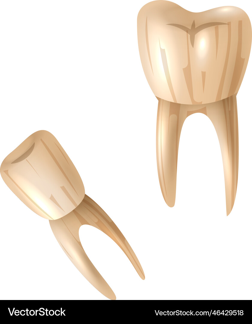 Realistic voodoo teeth Royalty Free Vector Image