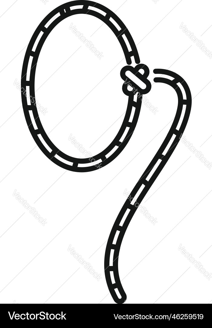 Lasso icon outline cowboy rope Royalty Free Vector Image