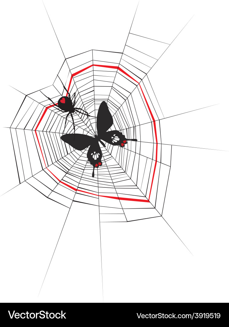 Spyder in love Royalty Free Vector Image - VectorStock