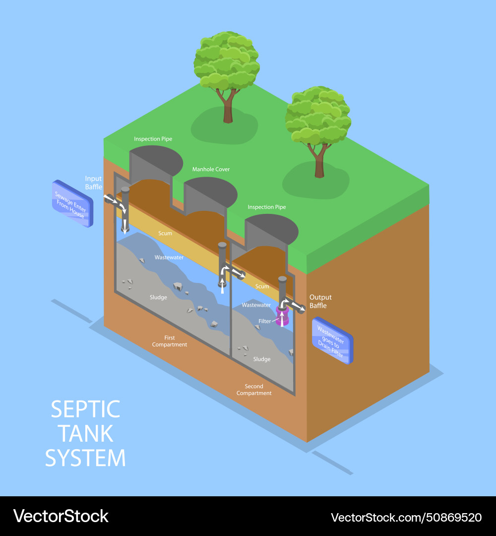 3d isometric flat of septic Royalty Free Vector Image