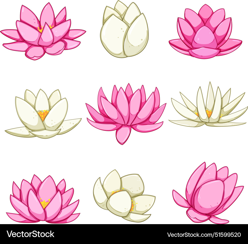 Lotus flower set cartoon Royalty Free Vector Image