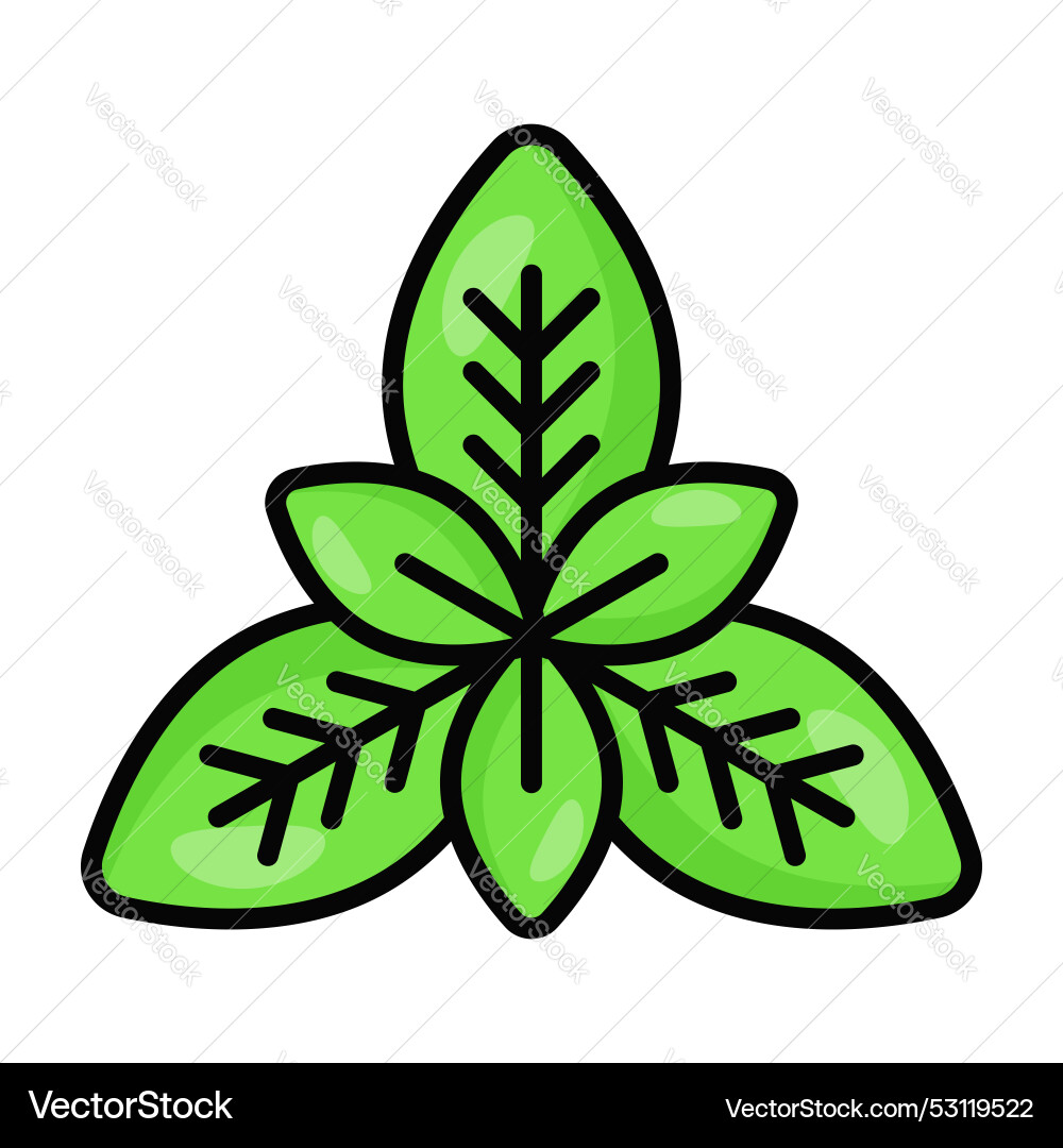 Basil Royalty Free Vector Image - VectorStock