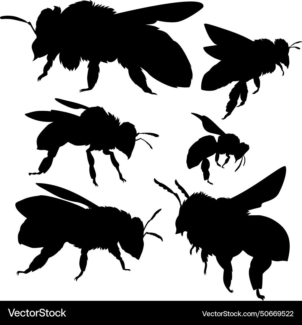 Bees Royalty Free Vector Image - VectorStock