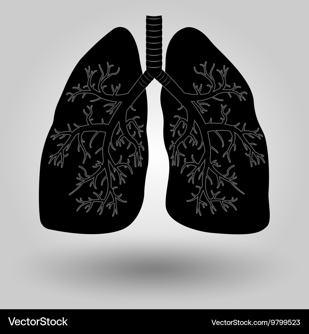 Human lung icon Royalty Free Vector Image - VectorStock