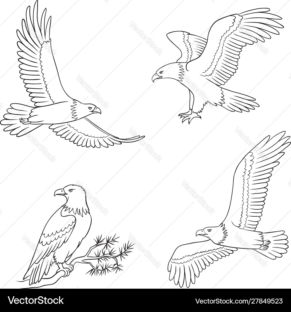 Set bald eagles in outlines Royalty Free Vector Image