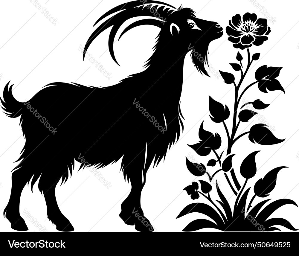Goat grazing on flower Royalty Free Vector Image