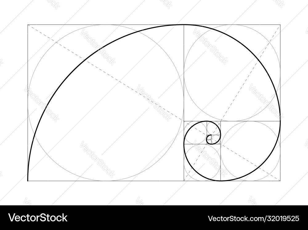 Golden Ratio Spiral Royalty Free Vector Image - VectorStock