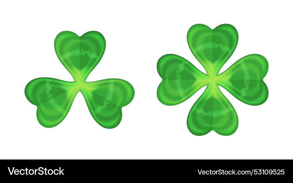 Realistic shamrock icon clover three leaves logo Vector Image