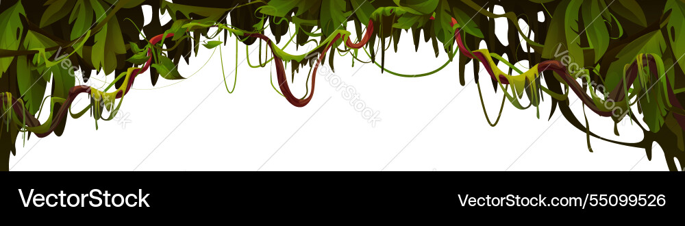Liana vine arch isolated on white Royalty Free Vector Image