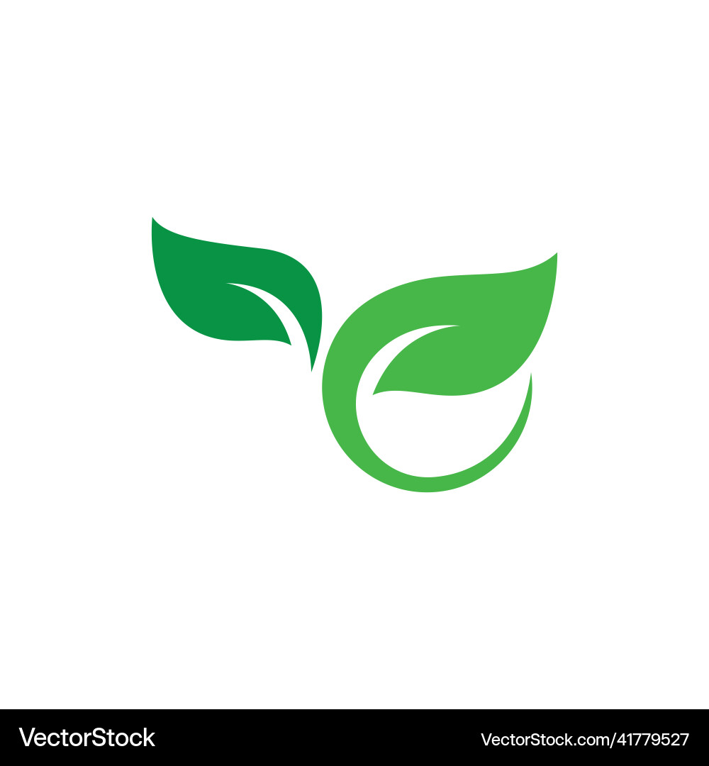Leaf logo Royalty Free Vector Image - VectorStock