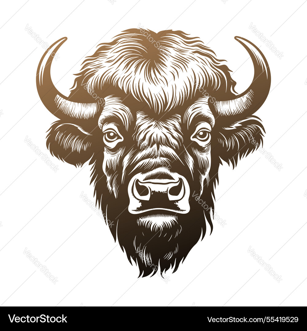 Bison clip art design shape Royalty Free Vector Image