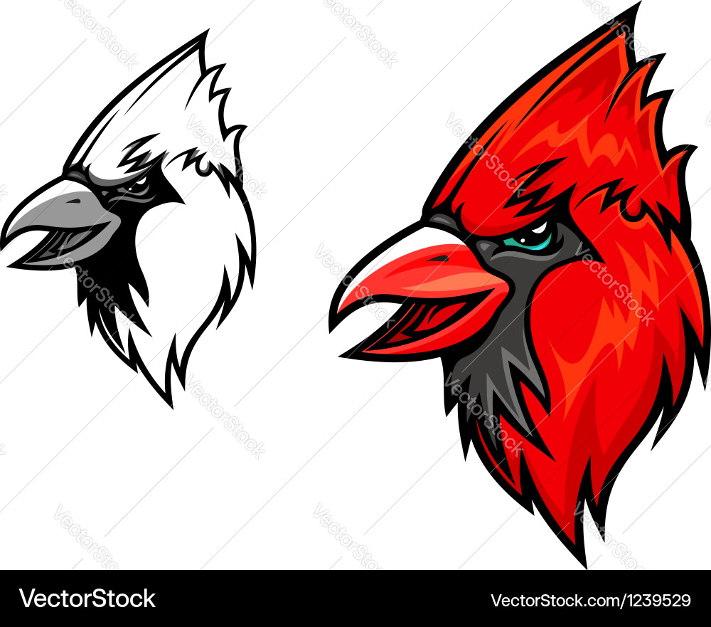 Cardinal birds Royalty Free Vector Image - VectorStock