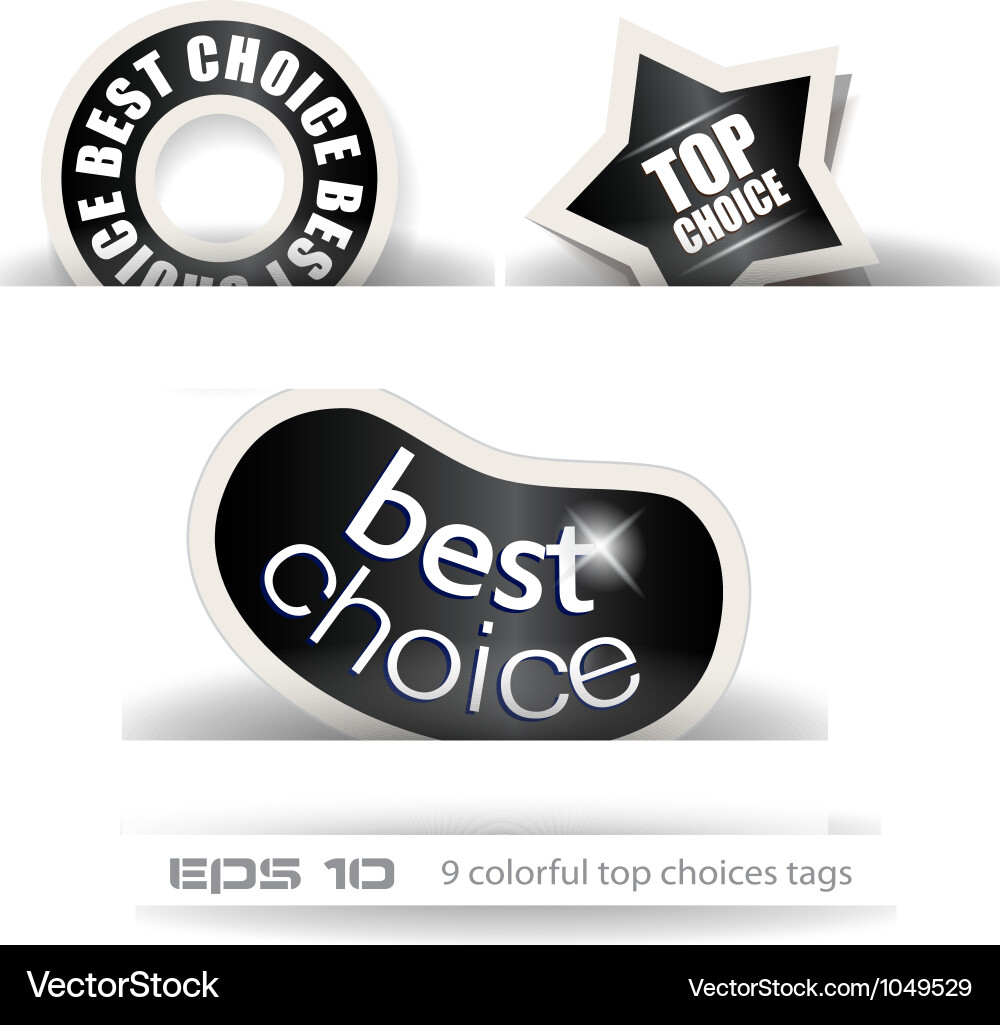 Paper style best choice tags Royalty Free Vector Image