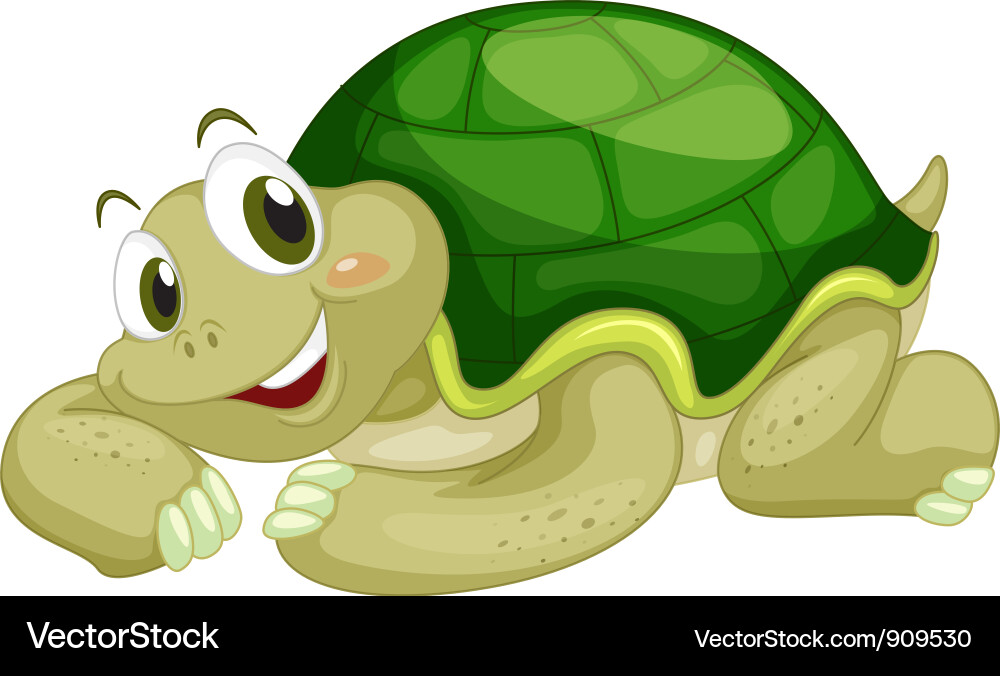 Animated Turtle Cartoon Royalty Free Vector Image