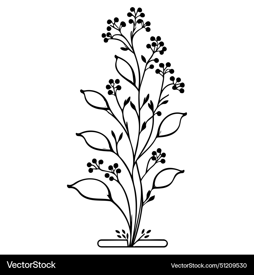 Berry flower sketch hand draw Royalty Free Vector Image