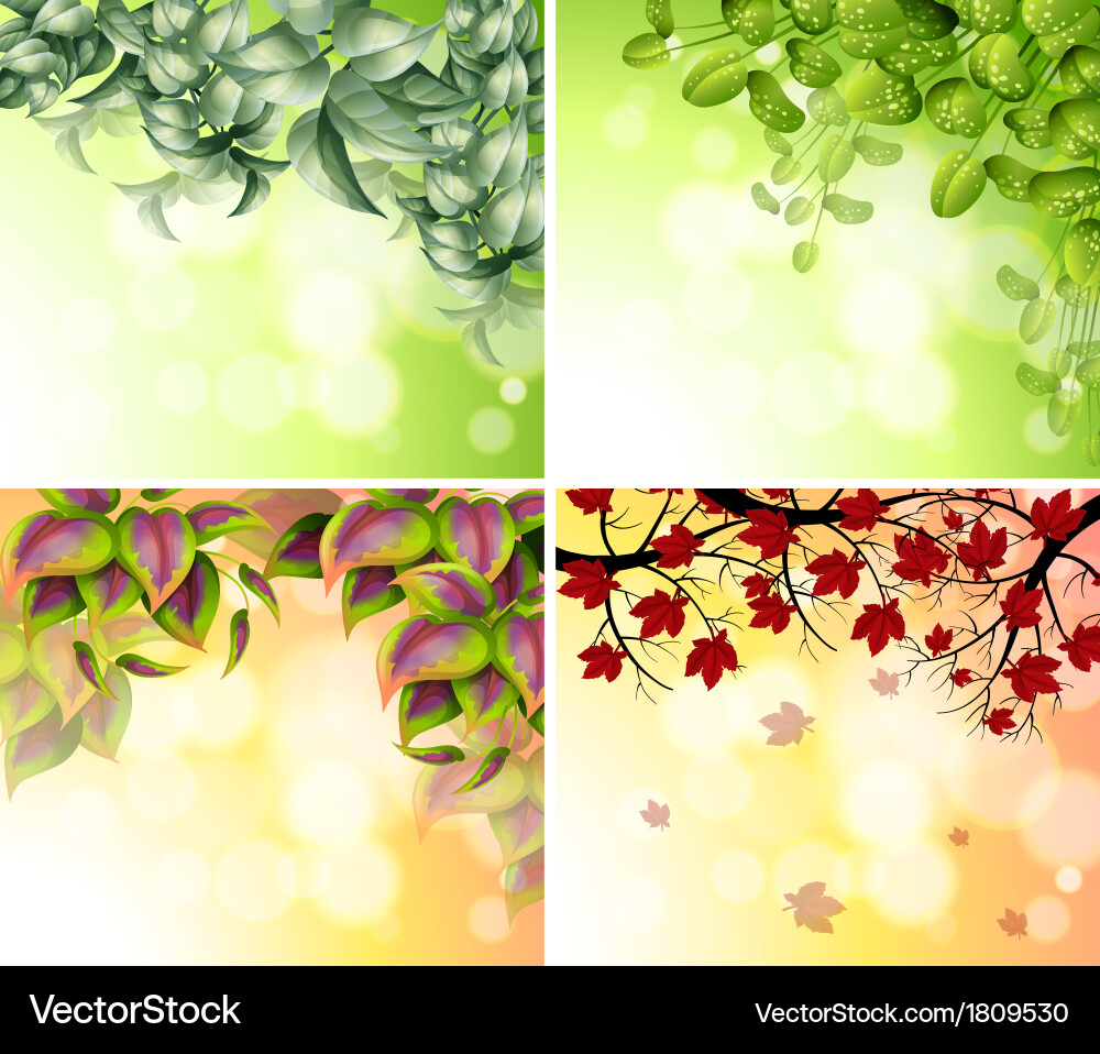 Four border designs Royalty Free Vector Image - VectorStock