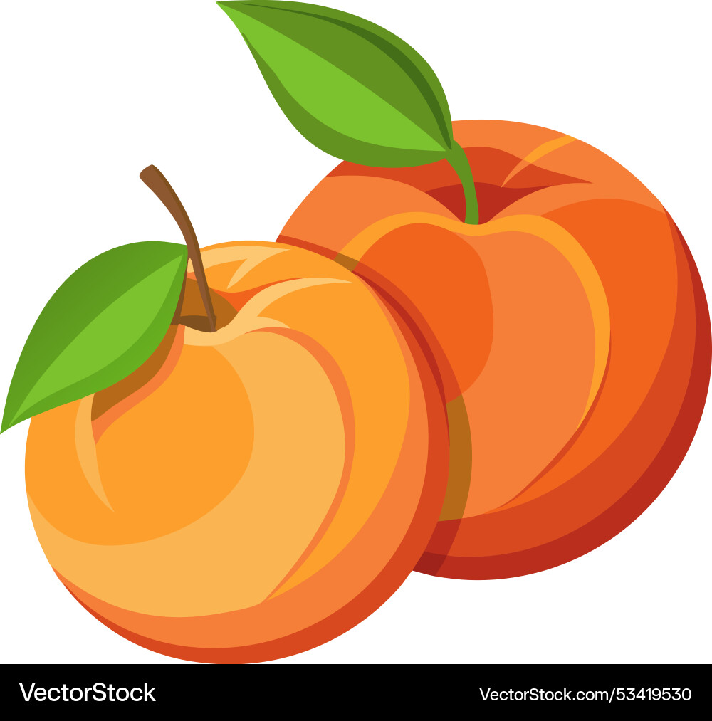 Icon set of peach Royalty Free Vector Image - VectorStock