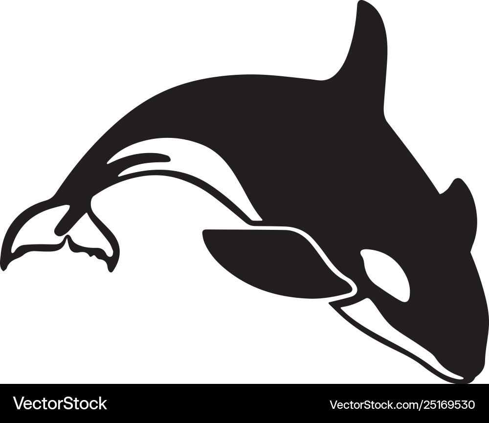 Orca killer whale Royalty Free Vector Image - VectorStock