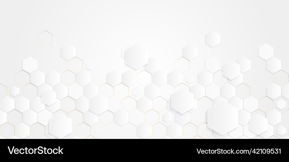 Abstract modern white hexagon shape background Vector Image