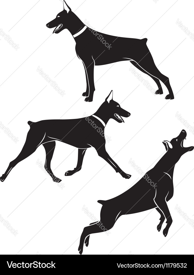Doberman Royalty Free Vector Image - VectorStock