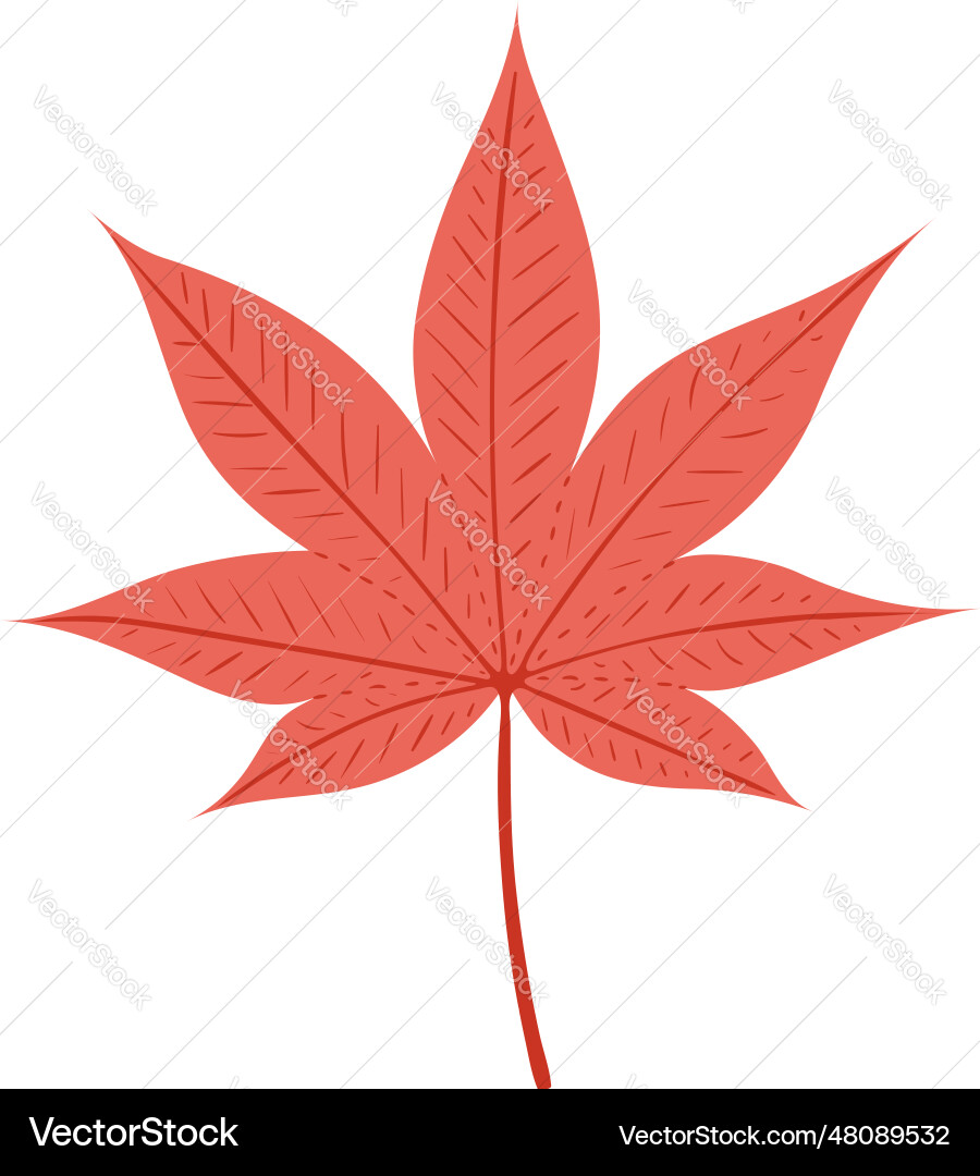 Momiji Vector Images (over 220)