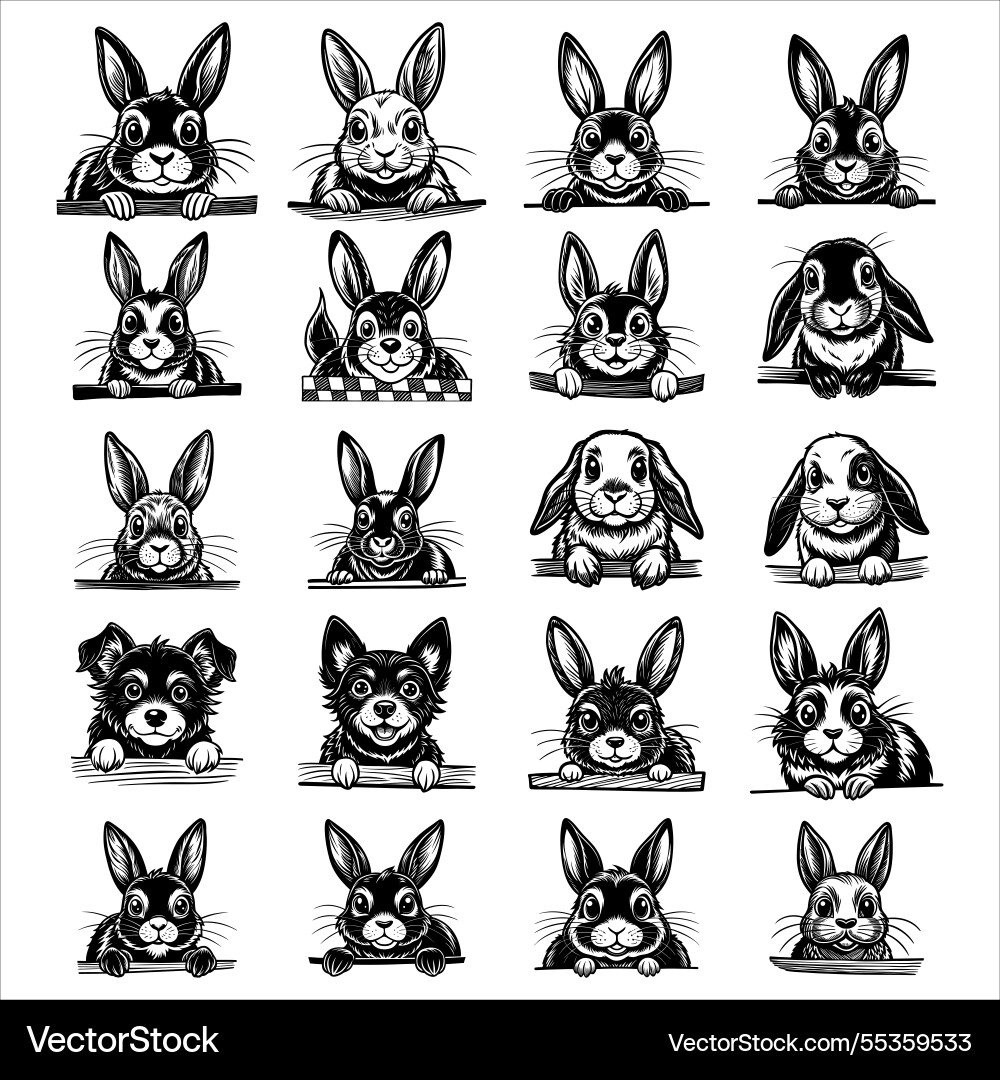 Bunny Royalty Free Vector Image - VectorStock
