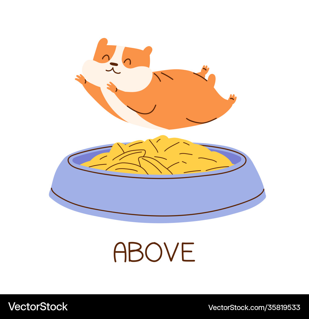 Cute animal demonstrating english preposition Vector Image