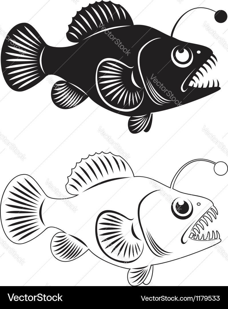 Deep-Sea Anglerfish Royalty Free Vector Image - VectorStock