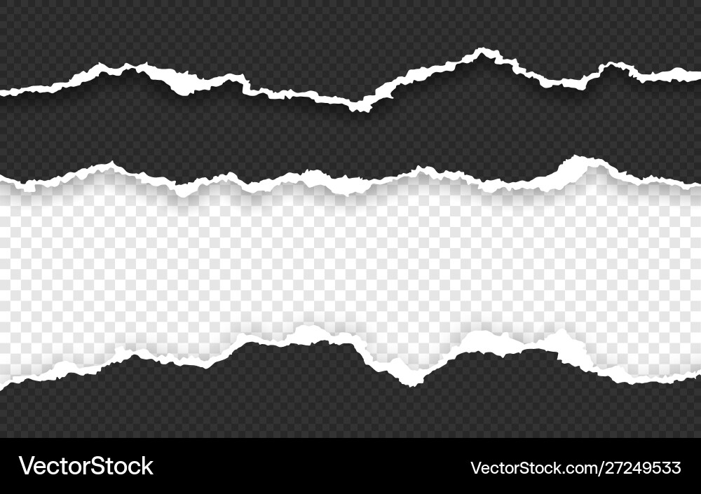 Horizontal torn paper edge ripped squared Vector Image