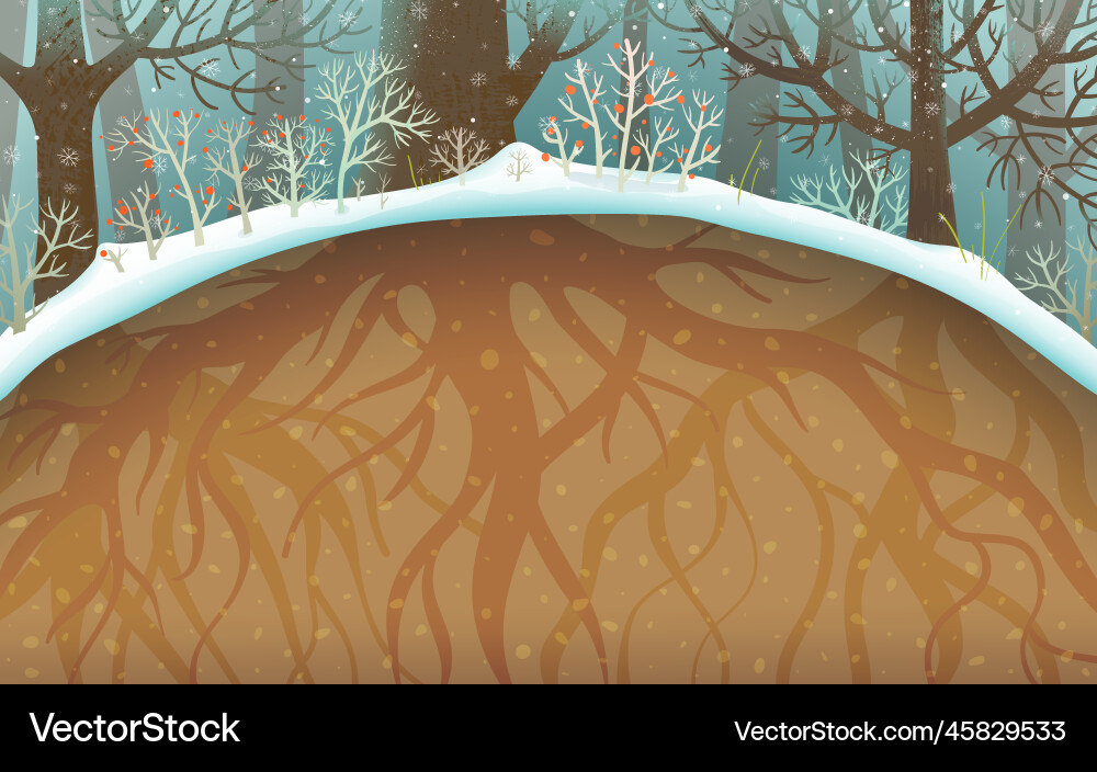 Winter forest underground with roots below ground Vector Image