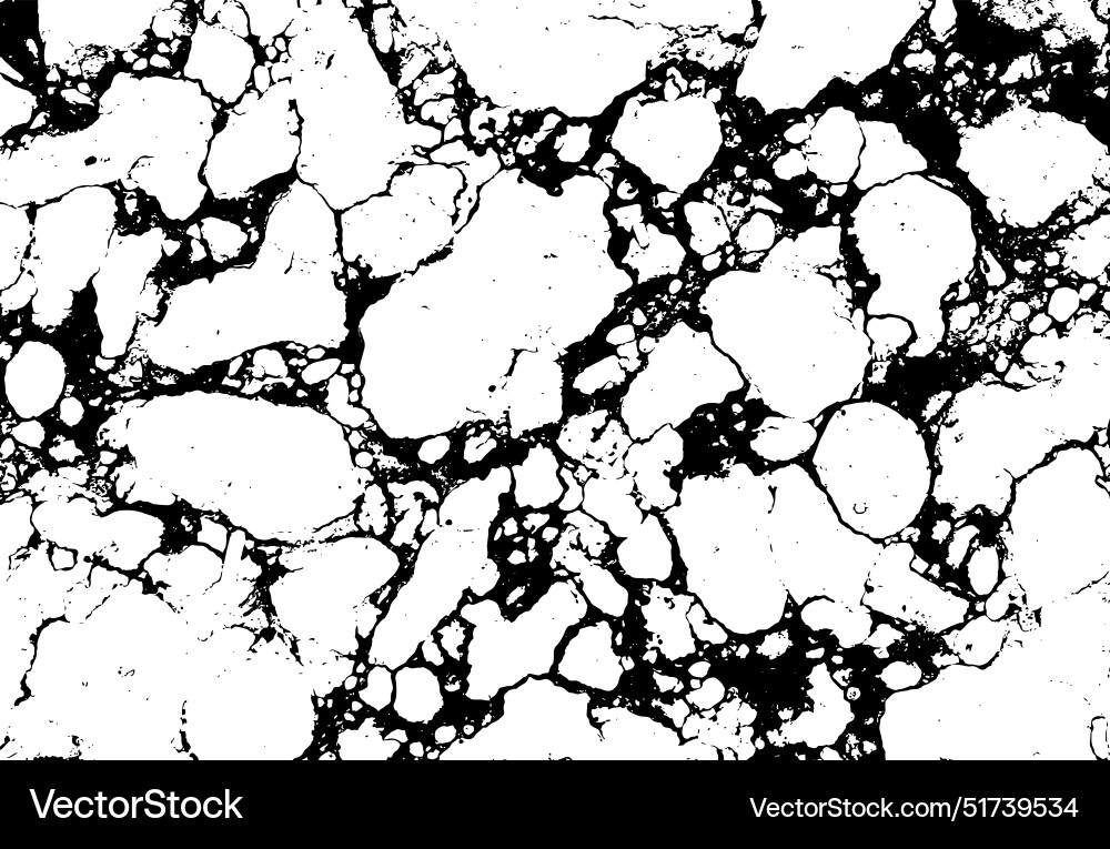 Black and white marble stone texture Royalty Free Vector