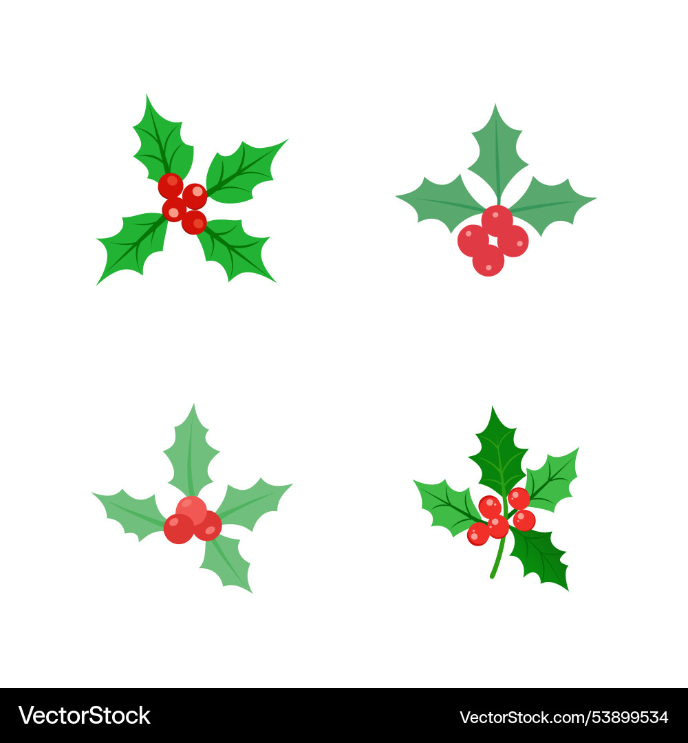Christmas holly tree branch Royalty Free Vector Image