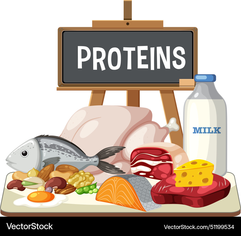 Diverse protein-rich foods on a table Royalty Free Vector