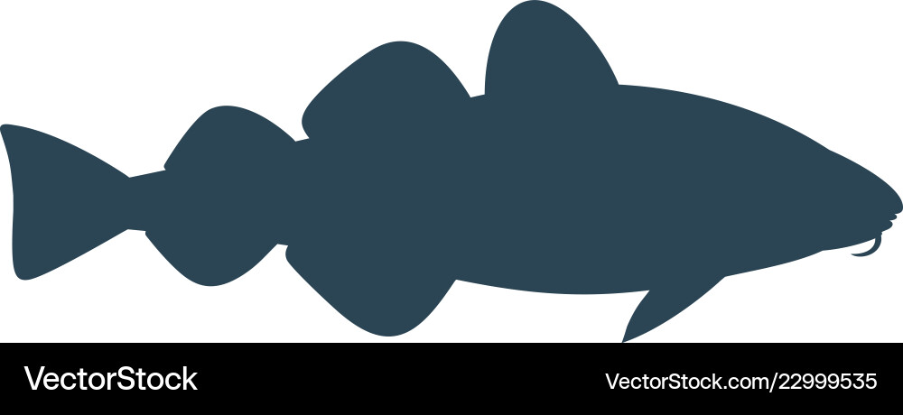 Atlantic cod Royalty Free Vector Image - VectorStock