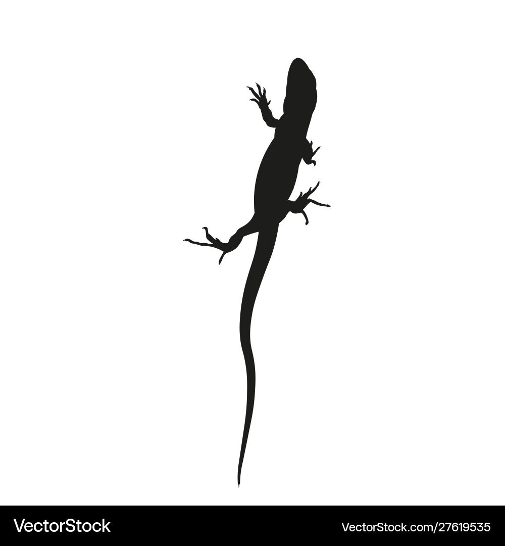 Silhouette lizard image in flat style Royalty Free Vector