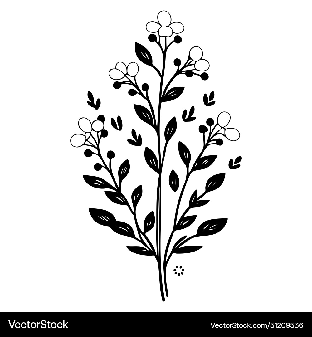 Berry flower sketch hand draw Royalty Free Vector Image
