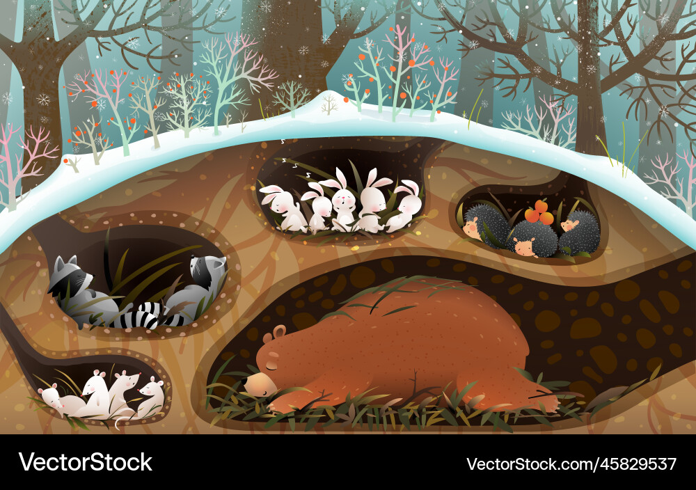 Forest animals sleeping in dens burrows and holes Vector Image