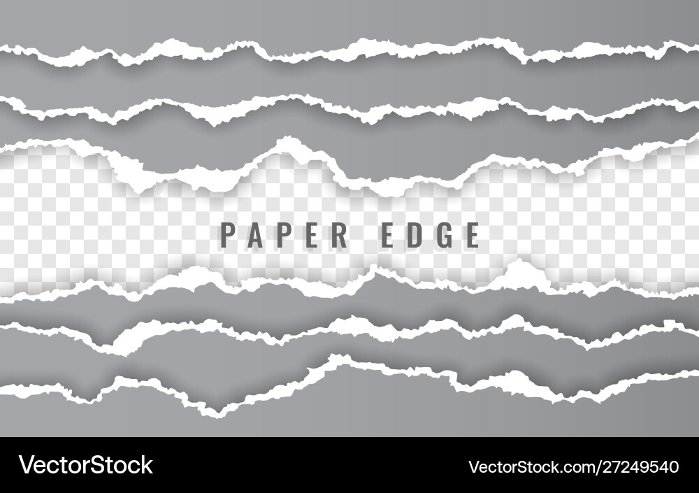 Torn paper edge ripped squared strips Royalty Free Vector