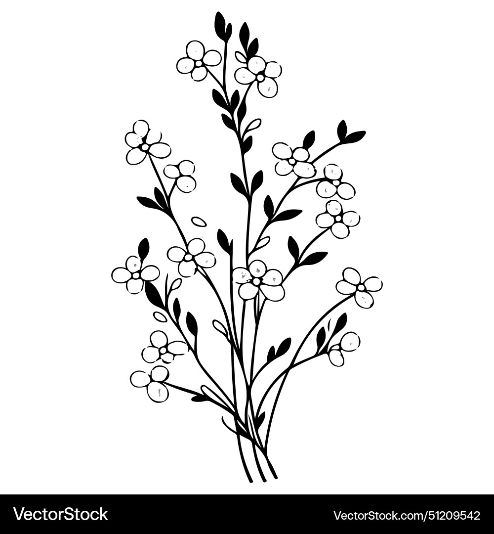 Berry flower sketch hand draw Royalty Free Vector Image