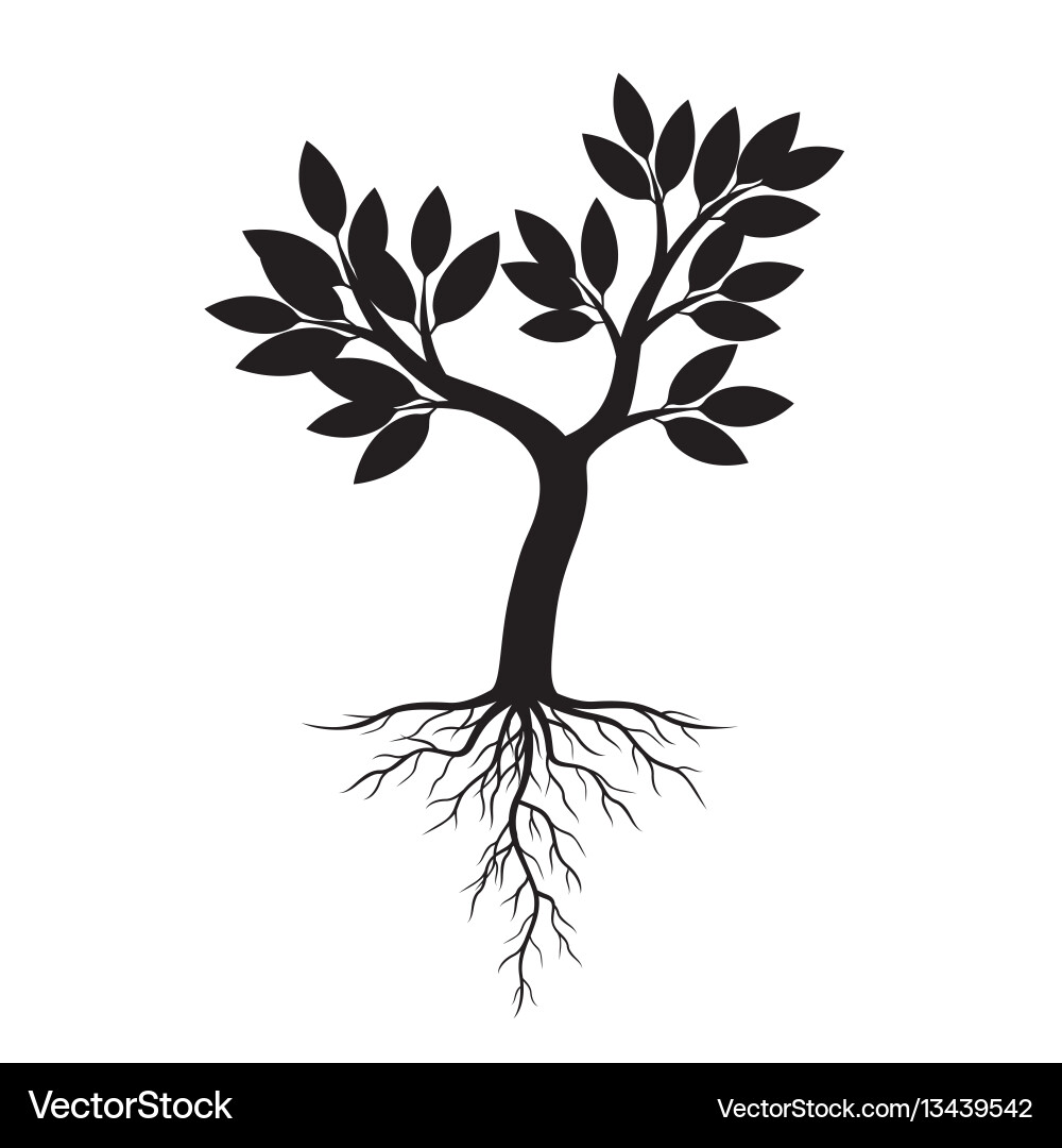 Apple Tree With Roots Clip Art Black And White - Infoupdate.org