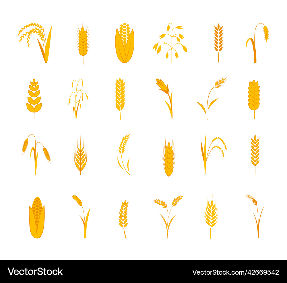 Cereals icons barley and wheat items rye Vector Image