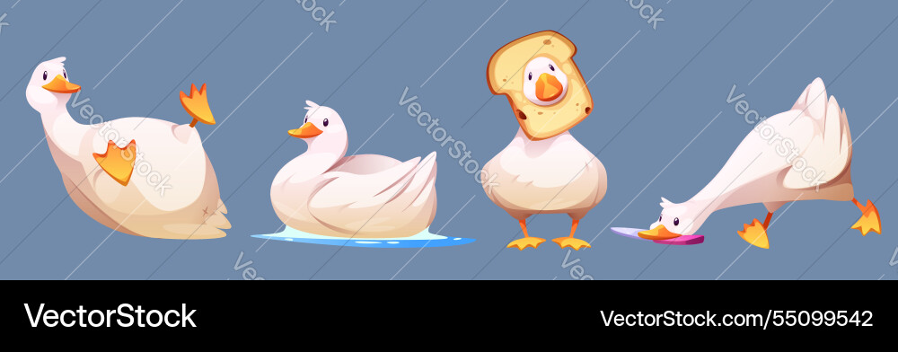 Funny duck characters set isolated on background Vector Image