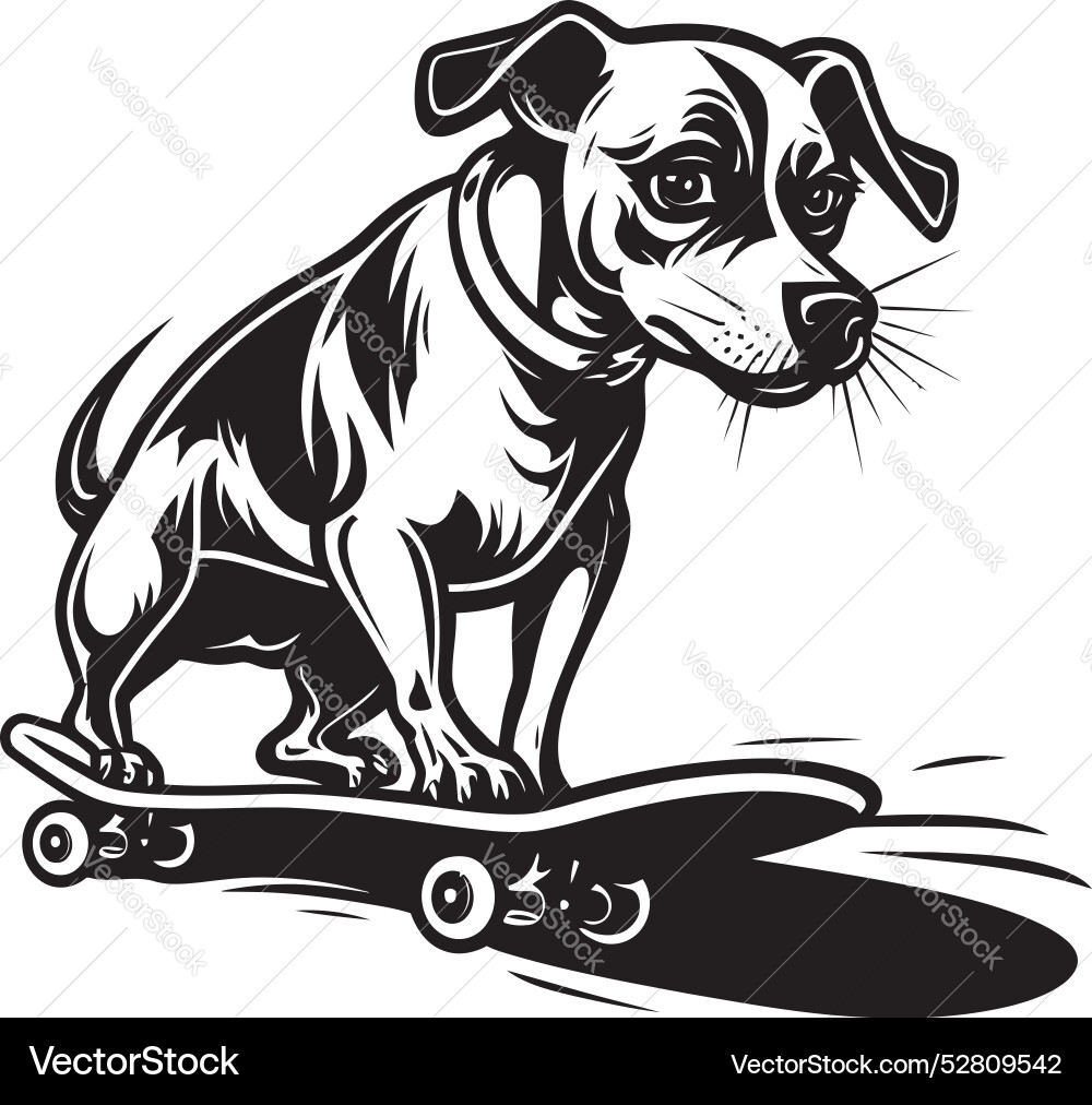 Pawsome cruiser canine on wheels logo barkboarder Vector Image