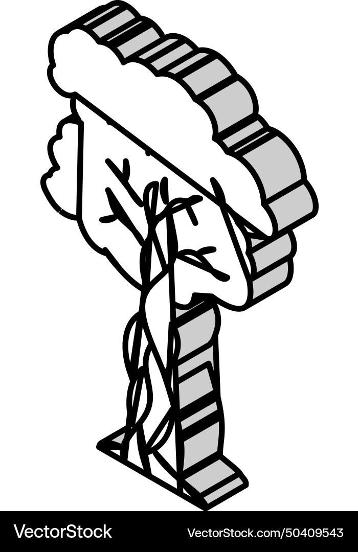 Strangler fig jungle amazon isometric icon Vector Image