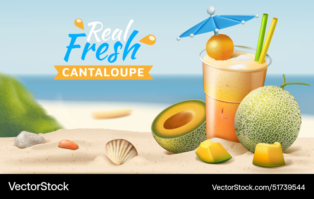 3d melon tropical cocktail ad banner summer Vector Image