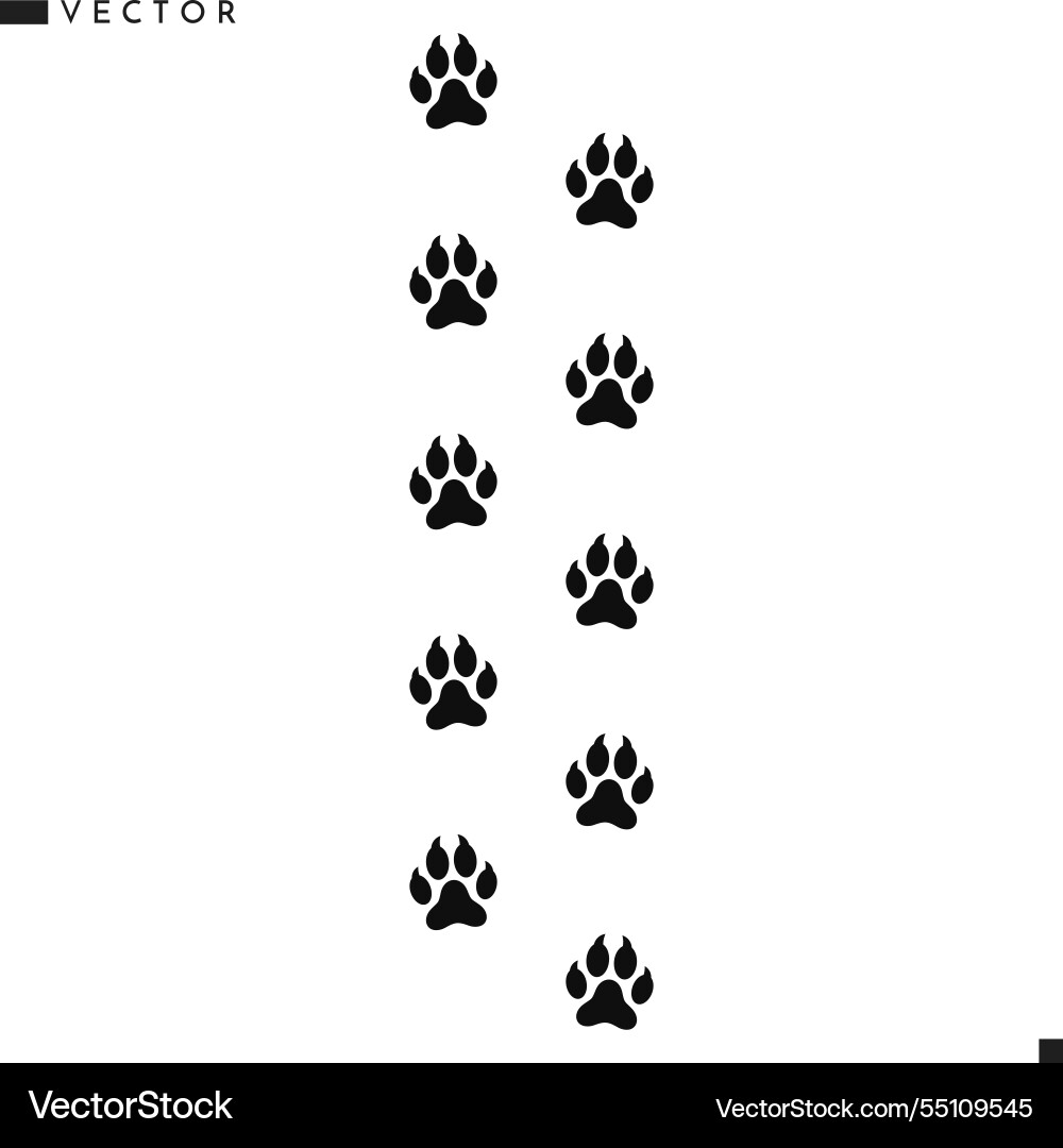 Arctic wolf paw print Royalty Free Vector Image