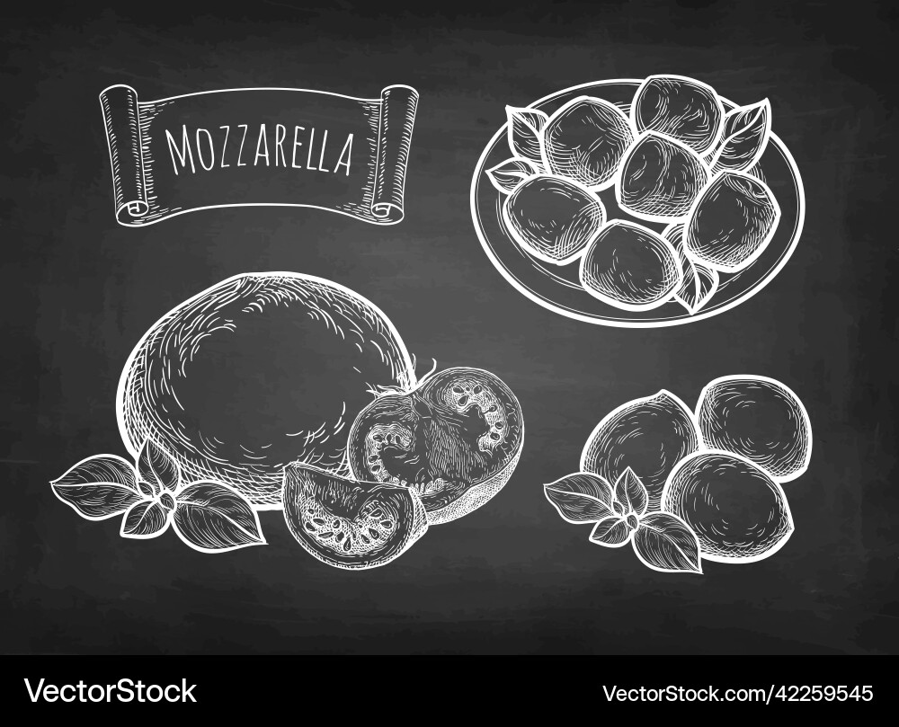 Chalk sketch of mozzarella cheese Royalty Free Vector Image